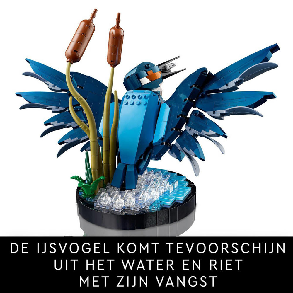 LEGO Icons IJsvogel 10331 kopen? | Morgen in huis | kleertjes.com